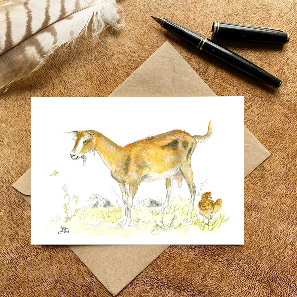 Wildlife By Mouse – a celebration of nature through the remarkable ...