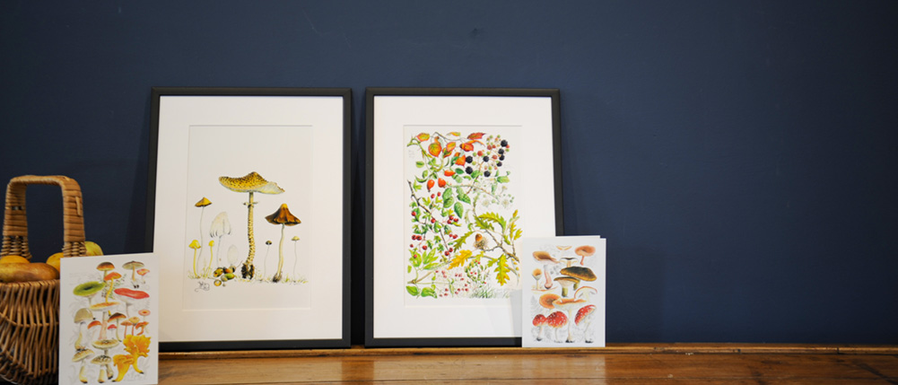 Wildlife By Mouse – a celebration of nature through the remarkable ...