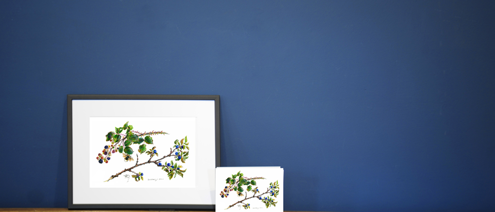 Wildlife By Mouse – a celebration of nature through the remarkable ...